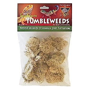 T-Rex Reptile Terrarium Décor - Terra Accents Tumbleweeds