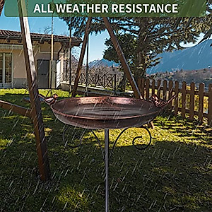 DREAMSOUL Outdoor Garden Bird Bath Metal Bird Baths Cast Iron Birdbath with Metal Stake Tall Bird Bath for Yard Garden Decor（Dia - 10inch）