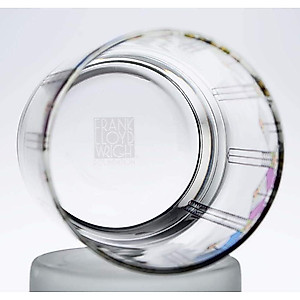 Frank Lloyd Wright DOF Double Old Fashioned Glass 14-Ounce (Gift Boxed Set of 2, April Showers)