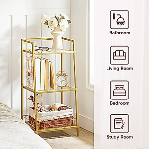 HOOBRO Gold Bookshelf, 3-Tier Tempered Glass Bookcase, Bathroom Storage Stand, Record Storage Rack with Side Guards, Strong and Durable, for Bathroom, Bedroom, Living Room Modern Style, Gold GD77CJ01