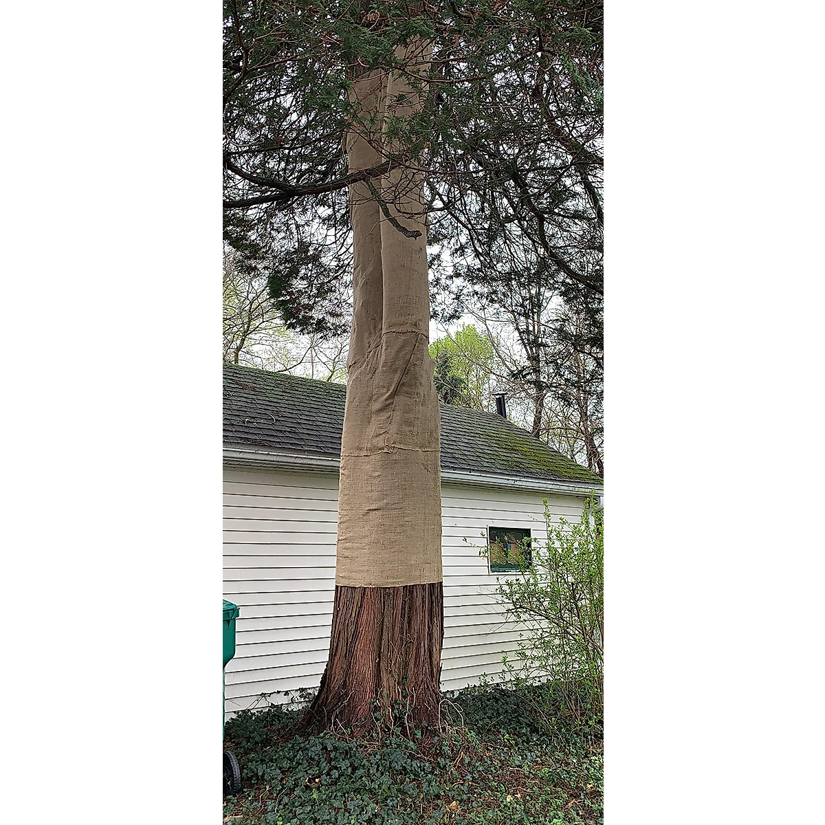 10 Inch* 15 Feet Gardening Burlap Roll - Natural Burlap Fabric, Burlap Table Runners High Density Jute Fiber Material for Decorations, Center Pieces for Home, Rustic Party Décor