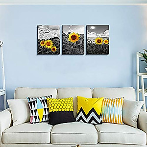 Canvas Wall Art For Living Room Family Wall Decor For Kitchen Black And White Pastoral Scenery Sunflower Flowers Bedroom Wall Painting Art Home Decoration Bathroom Wall Pictures Artwork 16x12 3 Piece