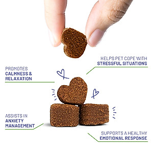 Calming Chews for Dogs Anxiety | Puppy & Dog Anxiety Relief Treats with Natural Souroubea | Calm Aid During Stress, Thunder, Storm, Separation, Car Travel, Motion, and Fireworks | Beef Flavor