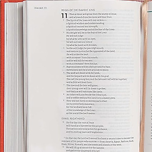 CSB She Reads Truth Bible, Poppy Linen, Black Letter, Full-Color Design, Notetaking Space, Devotionals, Reading Plans, Two Ribbon Markers, Sewn Binding, Easy-to-Read Type