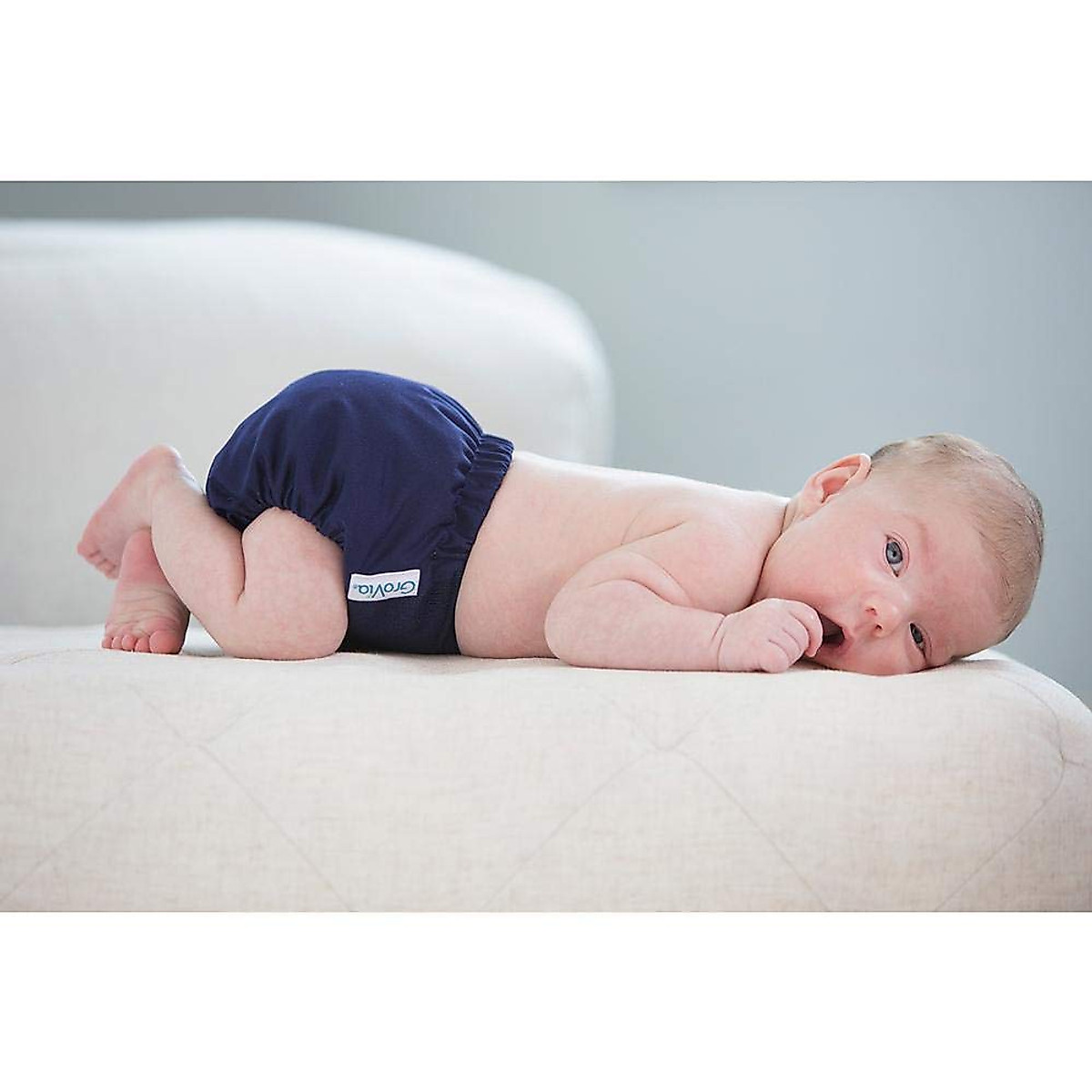 GroVia Newborn All in One Snap Reusable Cloth Diaper (AIO) (Petal)