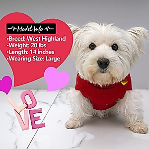 KYEESE Valentines Day Dog Sweaters Colorful Radiant Printing Love Design with Leash Hole Pet Sweater Pet Clothes,XL