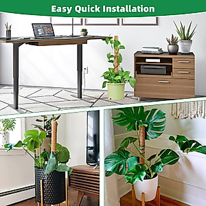 Moss Pole for Plants, 4 Pack Moss Poles for Climbing Plants, Monstera Coir Totem Pole, 15.8 Inch Moss Sticks for Plant Support, Indoor Potted Plants Train Creeper Plants Grow Upwards