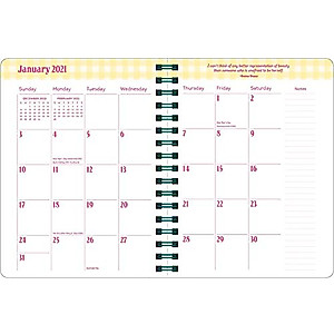Posh: Deluxe Organizer 17-Month 2020-2021 Monthly/Weekly Planner Calendar: Lemondrops