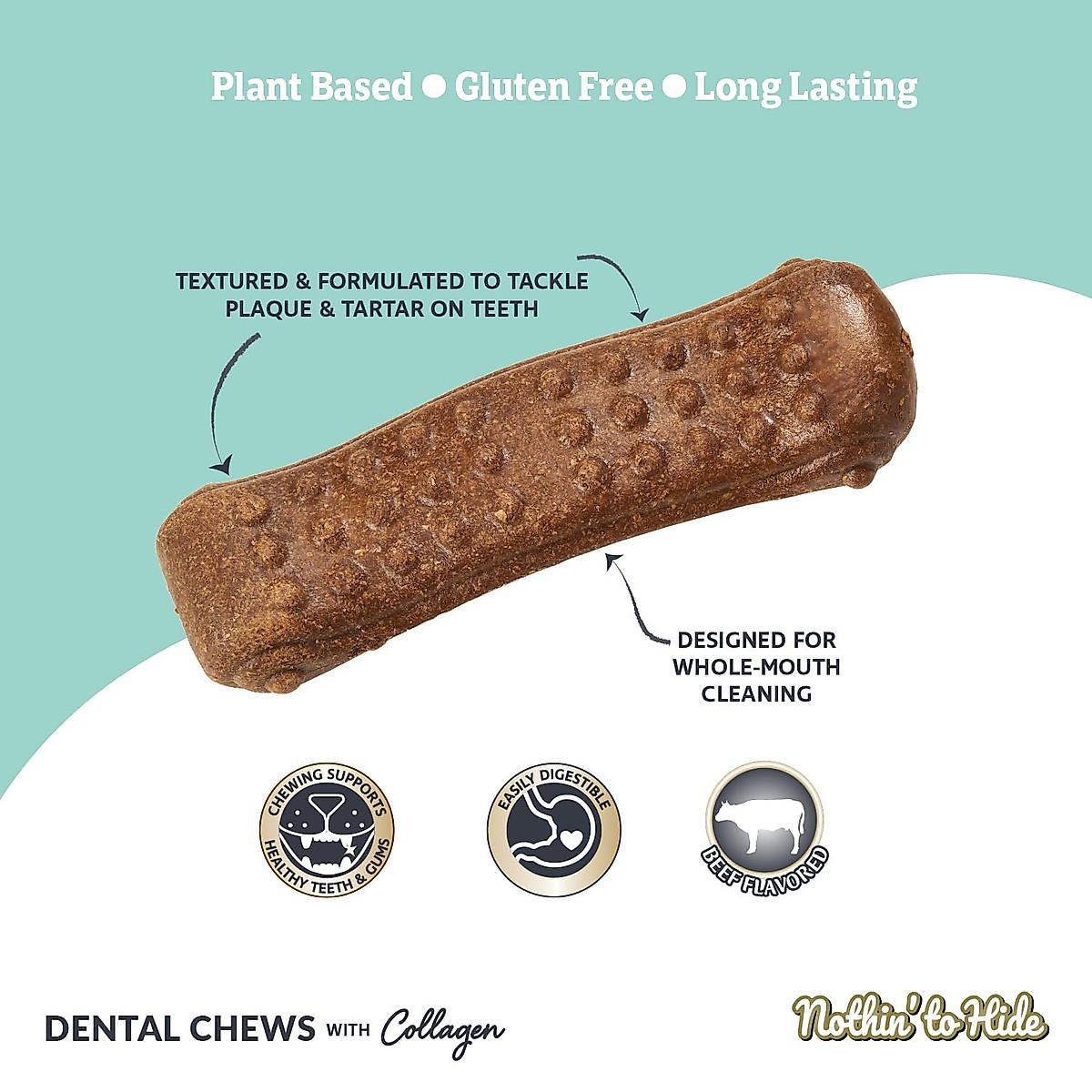 Fieldcrest Farms Nothing to Hide All Natural Rawhide Alternative Dental Bones Dog Chews - & Magnet, Plant Based Wave Treat Chews for Dental Health (Medium)