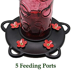Juegoal 28 oz Glass Hummingbird Feeders for Outdoors, Wild Bird Feeder with 5 Feeding Ports, Metal Handle Hanging for Outdoor Garden Tree Yard, Red