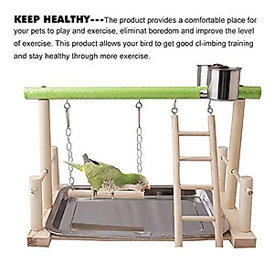 TangXSTAR Bird Training Rack Desktop Parrot Play Stand Cockatiel Playground Wood Playpen with Ladder Swing Toys Include a Tray for Parakeets African Conures Cockatiel Cockatoos Parrotlets Finch