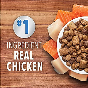 Iams Healthy Enjoyment Dry Cat Food Chicken & Salmon Recipe, 3 lb. Bag