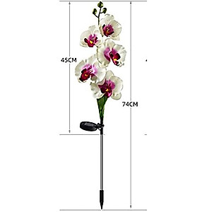 Aolyty Solar Garden Lights Outdoor, IP65 Waterproof Solar Stake Lights Butterfly Orchid Flowers Lights for Lawn Patio Backyard Landscape Party Decorative (Purple, 2 Pack)