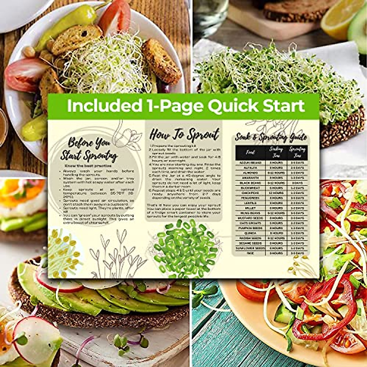 Sprouting Jar Kit Microgreens Grower - Set of 2 Wide Mouth Mason Jars with Stainless Steel Sprout Lids - Sprouter for Growing Broccoli Alfalfa Mung Bean Seeds - FUASHA