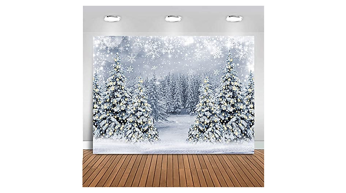 Mocsicka Winter Backdrop for Holiday Photoshoots