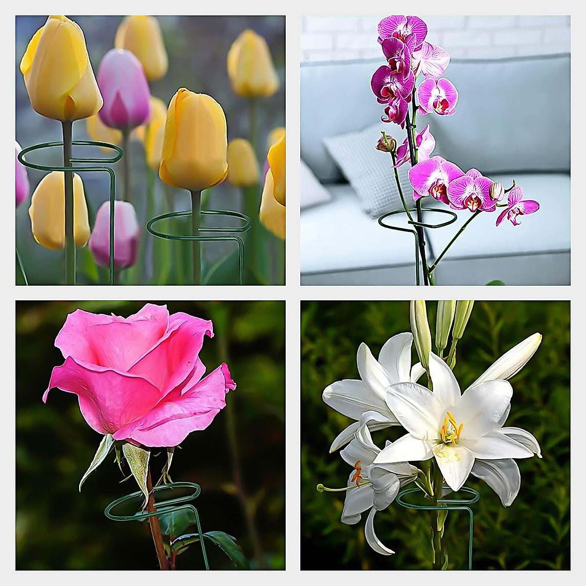 GROWNEER 12 Packs 16 Inches Garden Flower Support Plant Support Stakes, with 15 Pcs Plant Labels, Single Plant Stem Flower Support for Flowers, Orchid, Peony, Lily, Rose