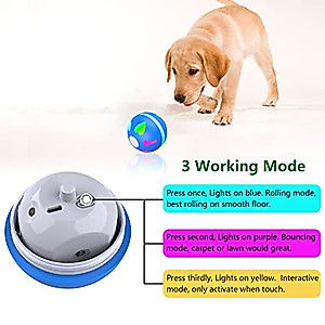AUKL Interactive Dog Toys Wicked Ball Self Moving Motion Activated Ball