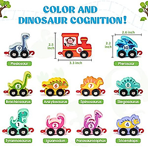 EDUJOY Toddler Toys for 2 4 3 Year Old Boys Gifts,Montessori Toys for 3 4 2 Year Old Girls Birthday Gifts,Wooden Train Set Dinosaur Toys for Kids 3-5 Years Old Toy Cars for Toddler Boy Toys Age 1-2-4
