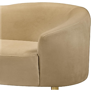 Meridian Furniture 659Camel-L Ritz Collection Modern | Contemporary Upholstered Loveseat with Rich Camel Velvet, Gold Metal Legs, Curved Contemporary Design, 67" W x 31.75" D x 30.5" H, Camel