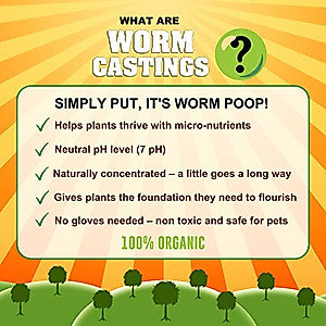 20 oz 100% Organic Worm Castings – Natural Superfood for Plant Growth, Root Development & Growing Healthier, Stronger Crops – Non Toxic & Kind to Soil – Resealable Zip Pouch – Life Cycle Organics