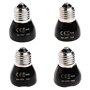 Qupida 25/50/75/100 Watt 110-120 V Mini Reptile Heat Lamp Far Infrared Ceramic Emitter Heater Brooder Appliances Bulb Pet Coop Grow Light(Black) (50 WATT)