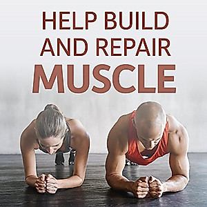 Garden of Life Raw Organic Protein Vanilla Chai Powder, 20 Servings, Certified Vegan, Gluten Free, Organic & Non-GMO, Plant Based Sugar Free Protein Shake, Probiotics & Enzymes, 4g BCAAs, 22g Protein