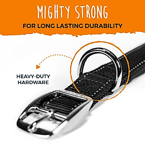 Mighty Paw Dog Collar - Padded Comfort - Neoprene Lining - High Visibility Reflective Threading - Weatherproof Nylon - Buckle Adjustable Dog Collar - Comfortable Dog Collar for All Dog Breeds