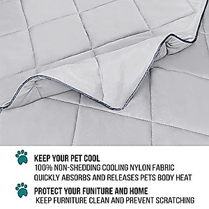 PetAmi Premium Cooling Dog Blanket | Lightweight Fluffy Pet Throw Blanket Bed Cover for Dogs, Cat, Puppies | Pet Blanket Furniture Protector Couch Sofa | Reversible Fuzzy Cozy | 29x40, Light Grey