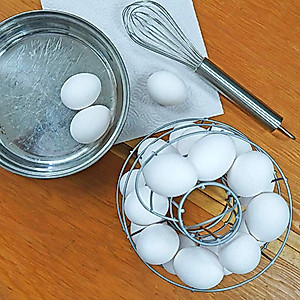 Tnfeeon Spiral Egg Dispenser Rack Indoor Egg Storage Organizer (Silver)
