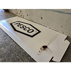 PESCO™ Glue Traps for Mice - Sticky Traps for Mice Rats & Insects - Adhesive Pet Safe Pest Control- (Unscented) Pack of 72