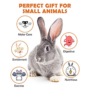 Sofier Rabbit Toys Bunny Toys Guinea Pig Toys 17pcs Natural Timothy Hay Treats Hamster Toys for Teeth Handmade Rabbit Treats and Chews Chinchilla Rat