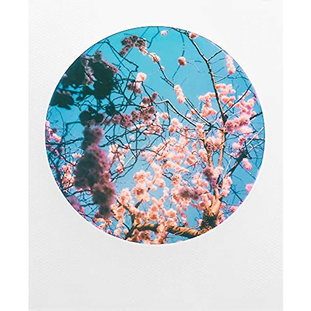 Polaroid Color Film for 600 - Round Frame (6021)