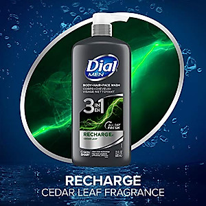 Dial Men 3in1 Body, Hair and Face Wash, Recharge, 69 fl oz (3-23 fl oz Bottles)