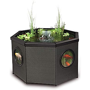 Pennington Aquagarden, Complete Raised Window Pond Kit - Octagon, Water Feature Pool, Includes Inpond 5 in 1 300 Pond & Water Pump with UV Clarifier, 106 Gallon Decking Pond, Three Fountain Displays,