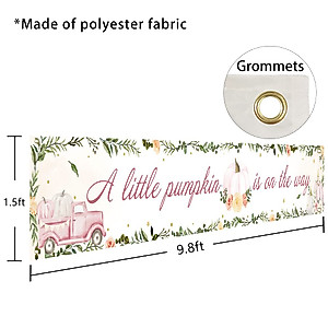 A Little Pumpkin is On the Way Banner, Fall Theme Pumpkin Baby Shower Gender Reveal Birthday Party Decorations Supplies (Pink)