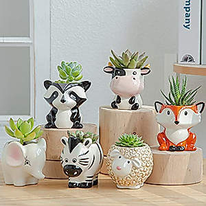 NOLITOY 2pcs Succulent Potted Plant Desk Flower Plant Pot Mini Planter Simulation Potted Plant Planter Pots for Indoor Plants Cat Planter Pot Ceramics Office White Small Flower Pot Stand