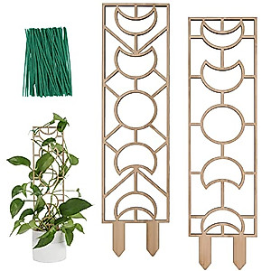 WellSign Plant Trellis for Climbing Plants Indoor Pot, 16.3 inch Small Wooden Trellis for Potted Plants with Moisture-Proof Layer for Vines Ivy Hoya Houseplants, Moon and Geometric Shape Design 2 Pack