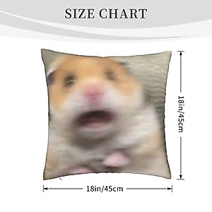 Scared Hamster Cute Throw Pillow Covers Novelty Square Pillow case Home Decorative Bedroom Couch Sofa Cushion case 18x18 in