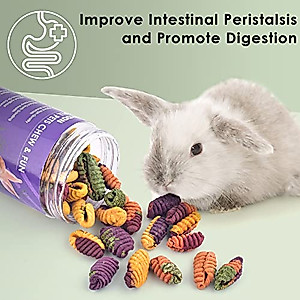 ERKOON Chinchilla Treats, Chew Toys for Teeth for Rabbit Guinea Pig Gerbil Rat Dwarf Hamster(Small Size)