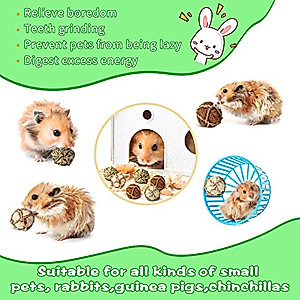 Sosation 24 Packs Guinea Pigs Toys Small Animals Play Balls Chew Gnawing Treats Bunny Toys Hay Grass Balls for Small Animals Entertainment PET Cage Accessories