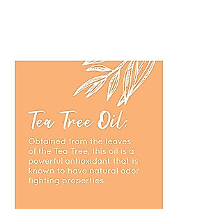 Australian Gold Moisture Lock Tan Extender Lotion, Enriched with Vitamin E & Aloe Vera, Cocoa Dreams Fragrance, 16 Fl oz​