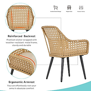 Verano Garden Patio Modern Dining Chairs Set of 2, Outdoor Rattan Dining Chair with Cushion and Armrest, Rust-Resistant Steel Frame Dining Chair Set for Yard, Porch, Deck, Lawn, Patio
