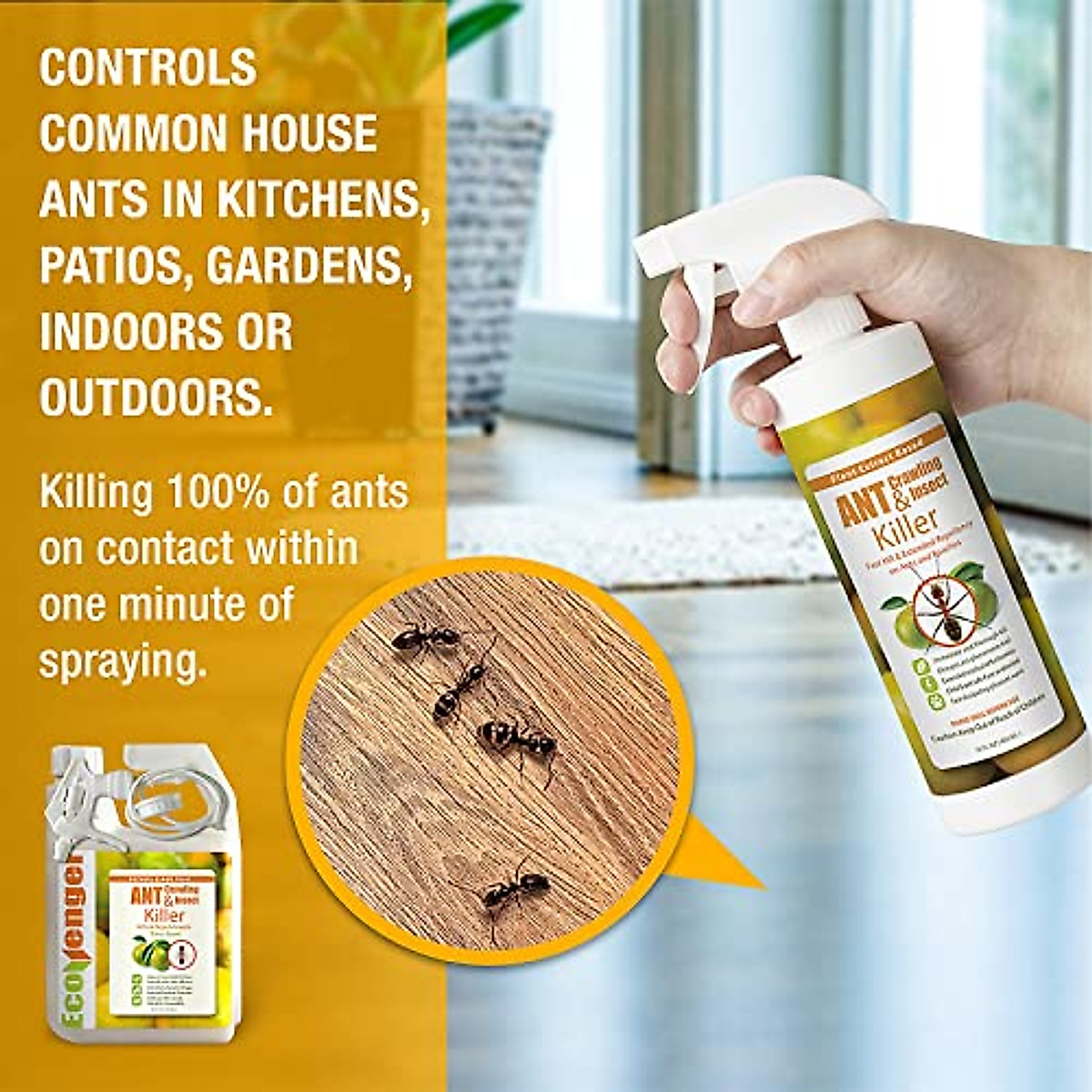 EcoRaider Ant & Crawling Insect Killer (32 OZ), 100% Fast Kills, Also Kills Fire Ants. Lasting Repellency, Safe for Children & Pets