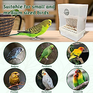 Tfwadmx No Mess Automatic Bird Feeders Cockatiel Food Dispenser Bowls Seed Container Parrot Dishes Parakeet Cage Accessories Birdfeeder with Divider for Canary Finch Conure Lovebirds 2Pcs