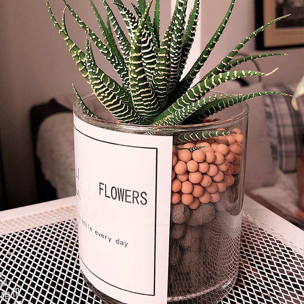 wohohoho 2.2lbs Mini Hydroponics Clay Pebbles, Upgraded 3mm-5mm Hydro Ceramsite Balls, Horticultural Top-Dressing Decorative Rocks for Aquaponics, Drainage Water, Purification, Cultivation