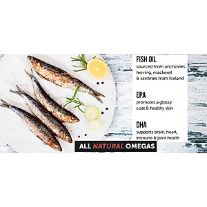 Omega 3 Fish Oil for Dogs - 180 Count Tablet Treats – Helps Shedding, Skin Allergy, Itch and Dry Skin Relief, Hot Spots - Joint Health - Skin and Coat Supplement - Salmon Oil - Duck Flavor