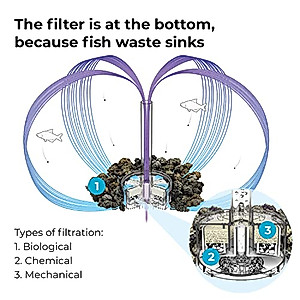 Flow 30 Aquarium with Standard Light - 8 Gallon, Black