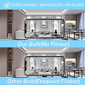 DAYBETTER 12 Pack A19 LED Light Bulbs, 60 Watt Equivalent LED Bulbs, Long Lifespan High Brightness 800LM Daylight White 5000K, E26 Standard Base Light Bulbs for Home Bedroom Office, Non-Dimmable