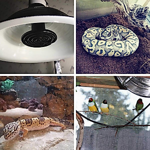 WUHOSTAM 50W 2 Pack Ceramic Heat Lamp,Black Infrared Bulb Emitter Lamp for Pet Coop Heater Reptile Chicken Lizard Turtle Brooder Bulb Temperature Adjustable No Harm No Light ETL Listed