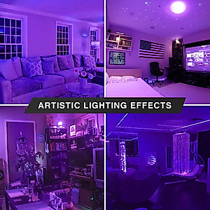 4 Pack BlueX LED PAR20 Flood Purple Light Bulb - 8W (65Watt Equivalent) - Dimmable - E26 Base Purple LED Lights, Party Decoration, Porch, Home Lighting, Holiday Lighting, Flood Lights